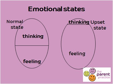 How To Create A Toolbox of Calm - Project Me